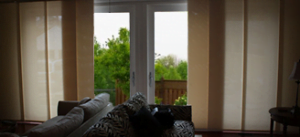 Motorized Blinds | Toronto | Caledon | York | Markham